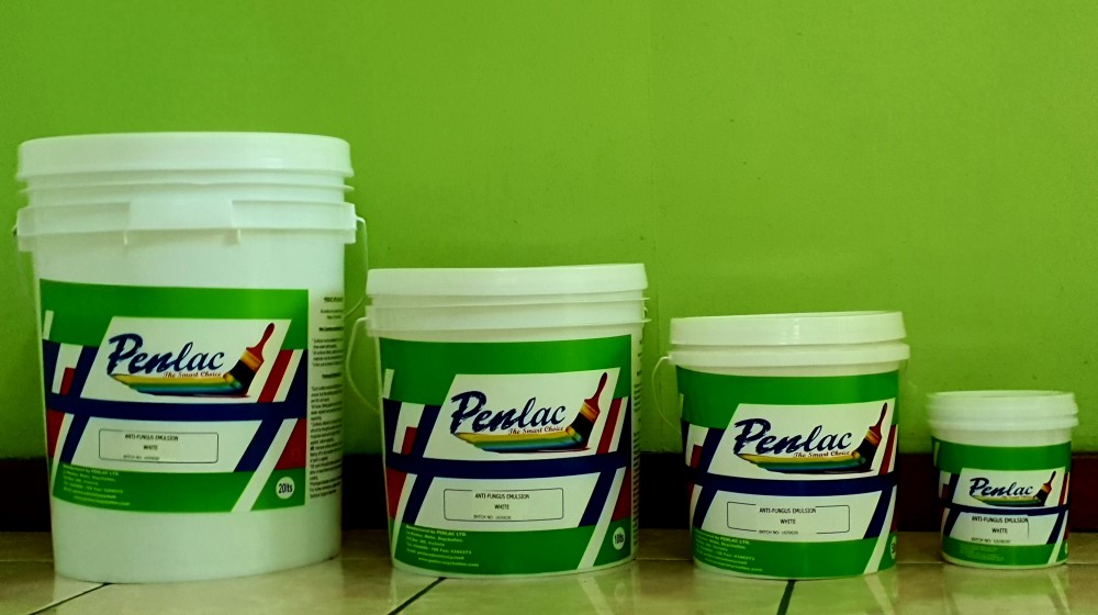 Anti Fungus Emulsion White 20 Litres | SEYBUSINESS
