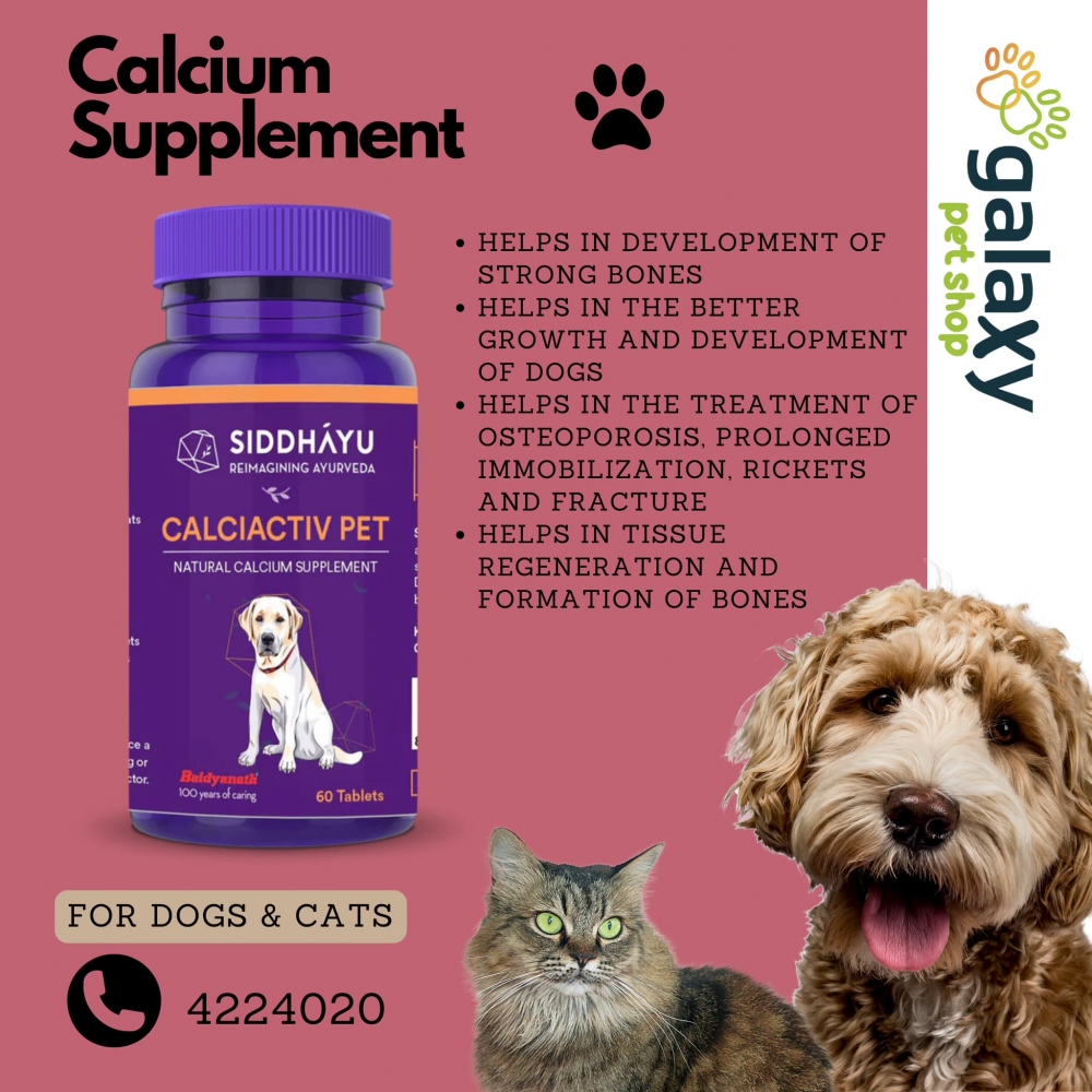 Calcium Supplement for dogs & cats Scr.65 | SEYBUSINESS