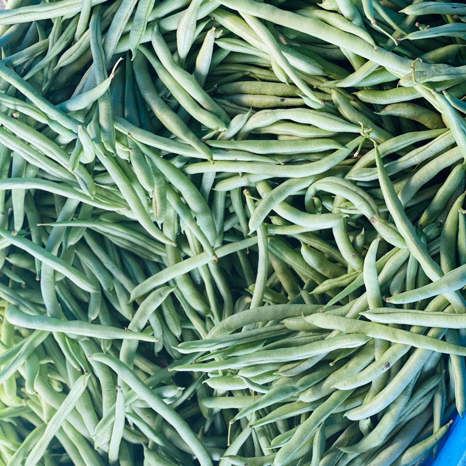 LOCAL SMALL BEANS | SEYBUSINESS